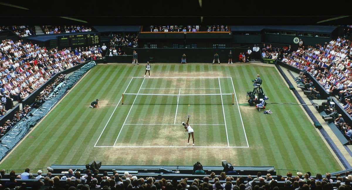 El color de la hierba de Wimbledon explica por qué una parte del tenis ...